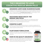 boost brain health with lion's mane
