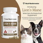 Boost brain health with Lion's Mane