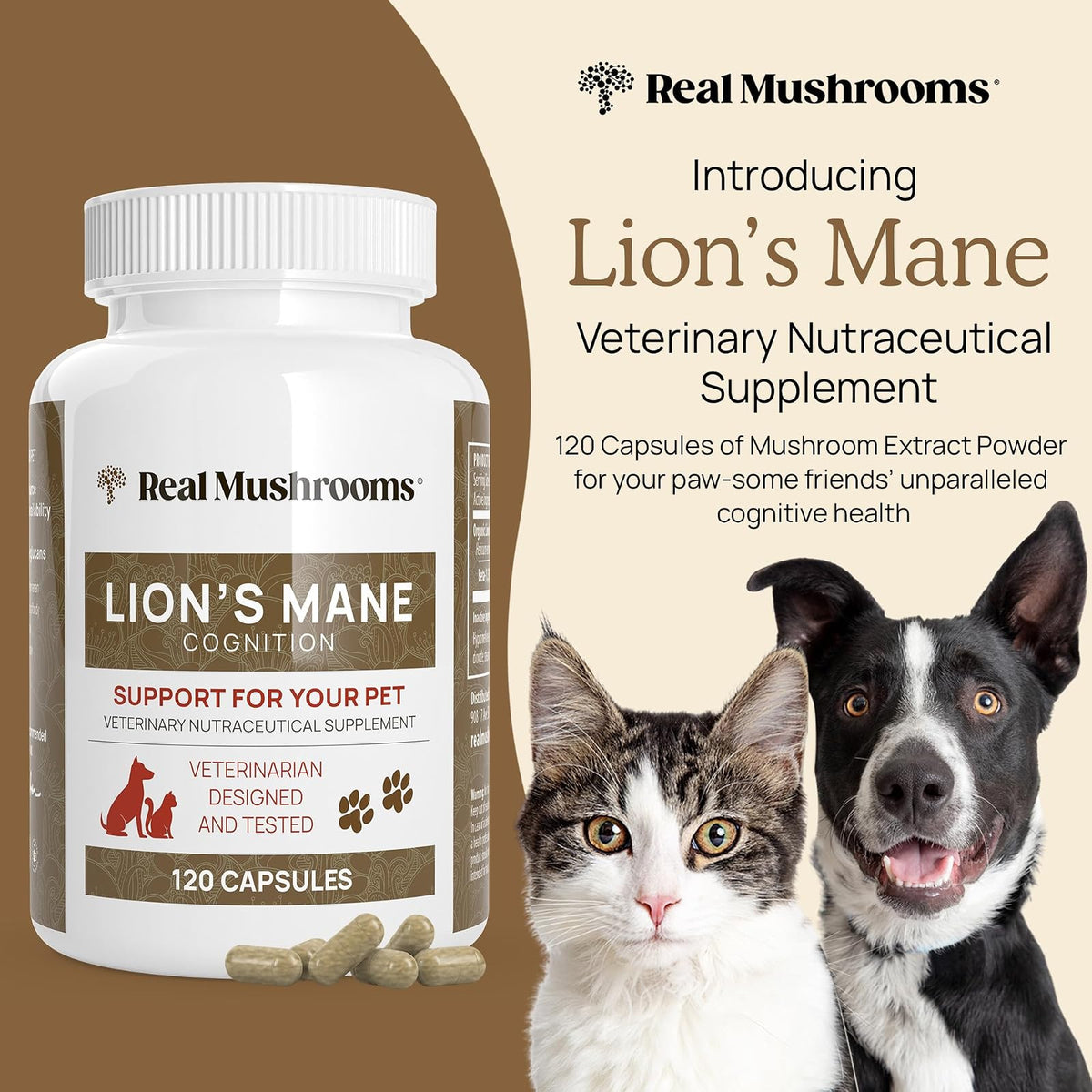 Boost brain health with Lion's Mane