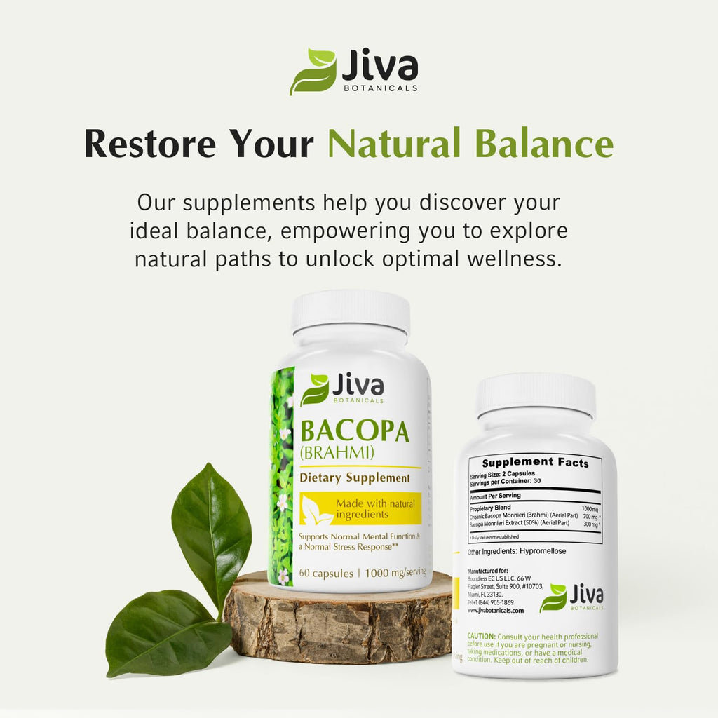 boost brain power with bacopa monnieri