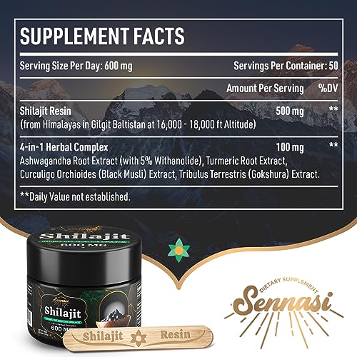 boost brain power with shilajit