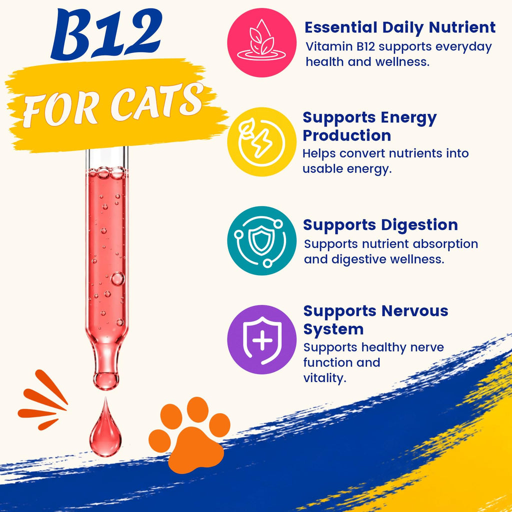 Boost cat energy with B12