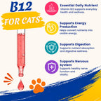 Boost cat energy with B12
