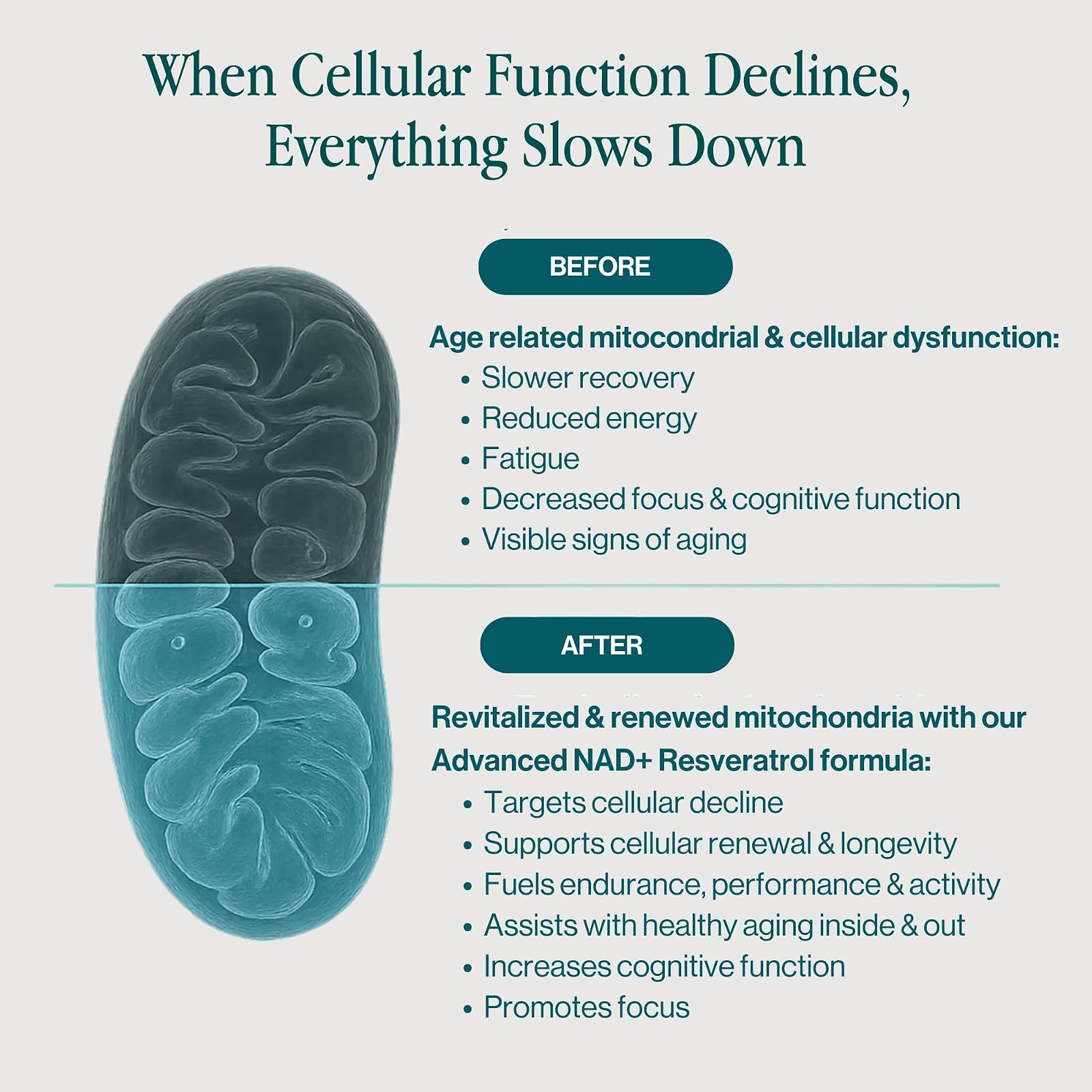 boost cellular health with NAD+