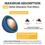 Boost cellular health with Orgabay