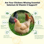 Boost chicken immune system with vitamins