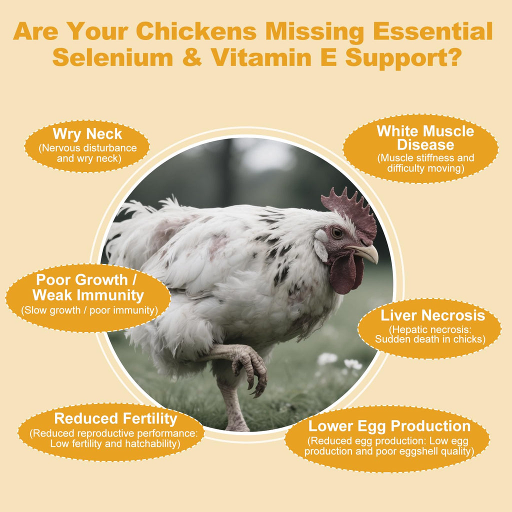Boost chicken immunity with vitamin E
