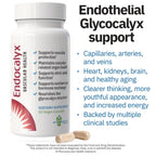 Boost circulation with Endocalyx multivitamins