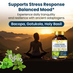 boost cognitive function ginkgo biloba