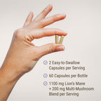boost cognitive function lion's mane