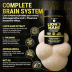 boost cognitive function lion's mane