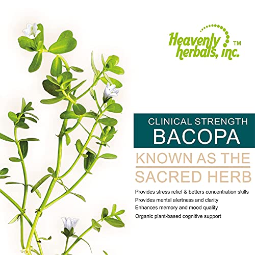 boost cognitive function with bacopa
