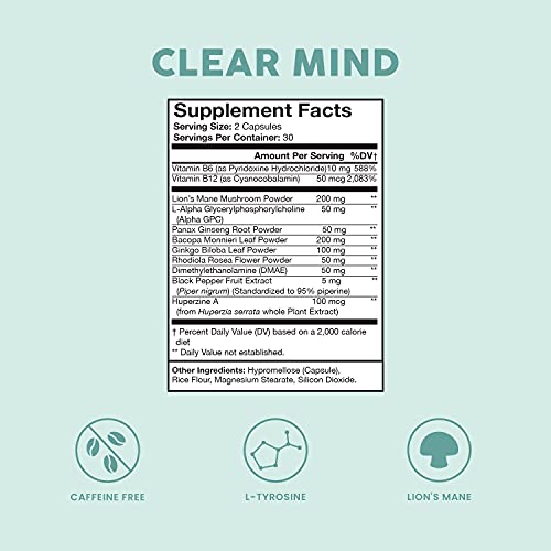 boost cognitive function with ginkgo