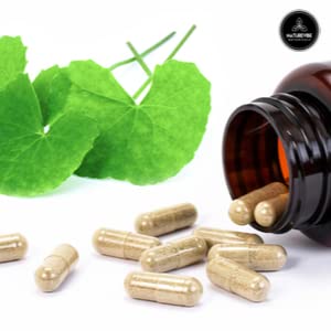 Boost cognitive function with Gotu Kola capsules