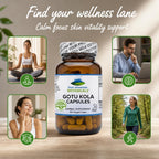 Boost cognitive function with Gotu Kola