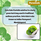 Boost cognitive function with Gotu Kola