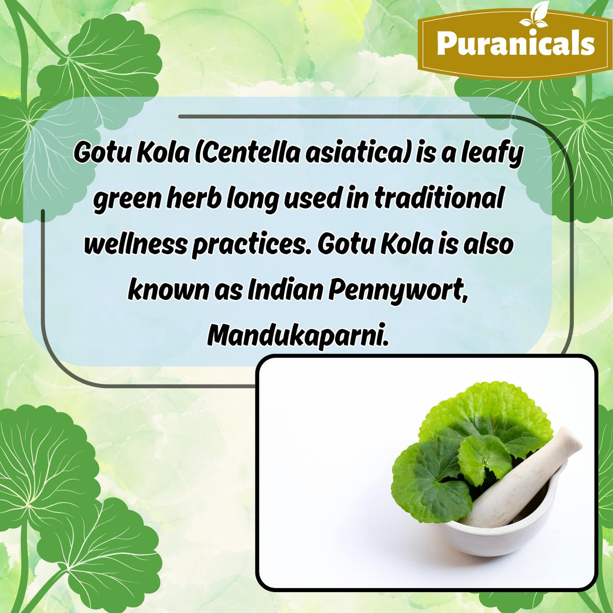 Boost cognitive function with Gotu Kola