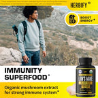 boost cognitive function with lion's mane