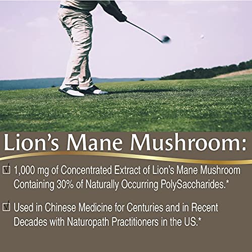 Boost cognitive function with Lion's Mane