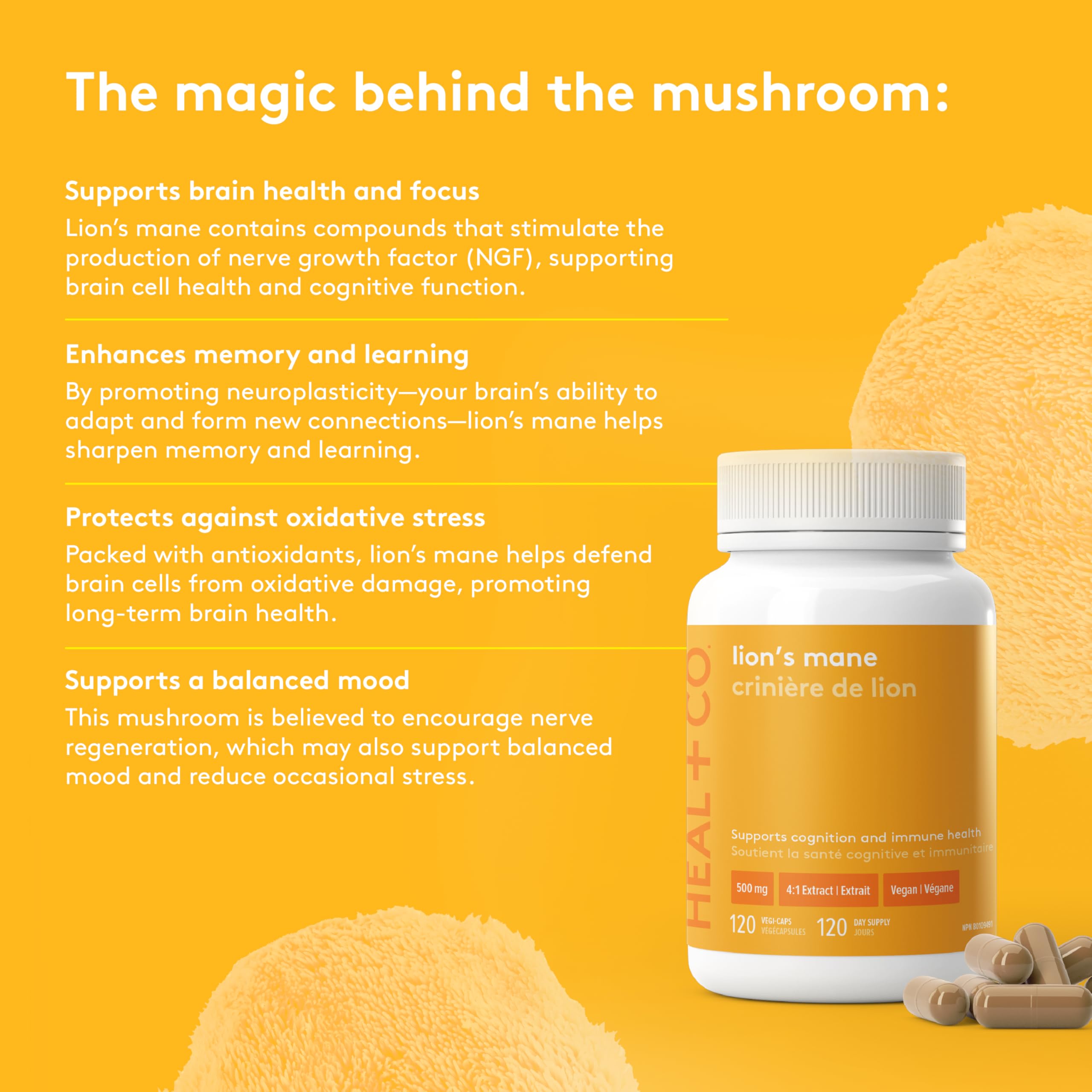 Boost cognitive function with mushrooms