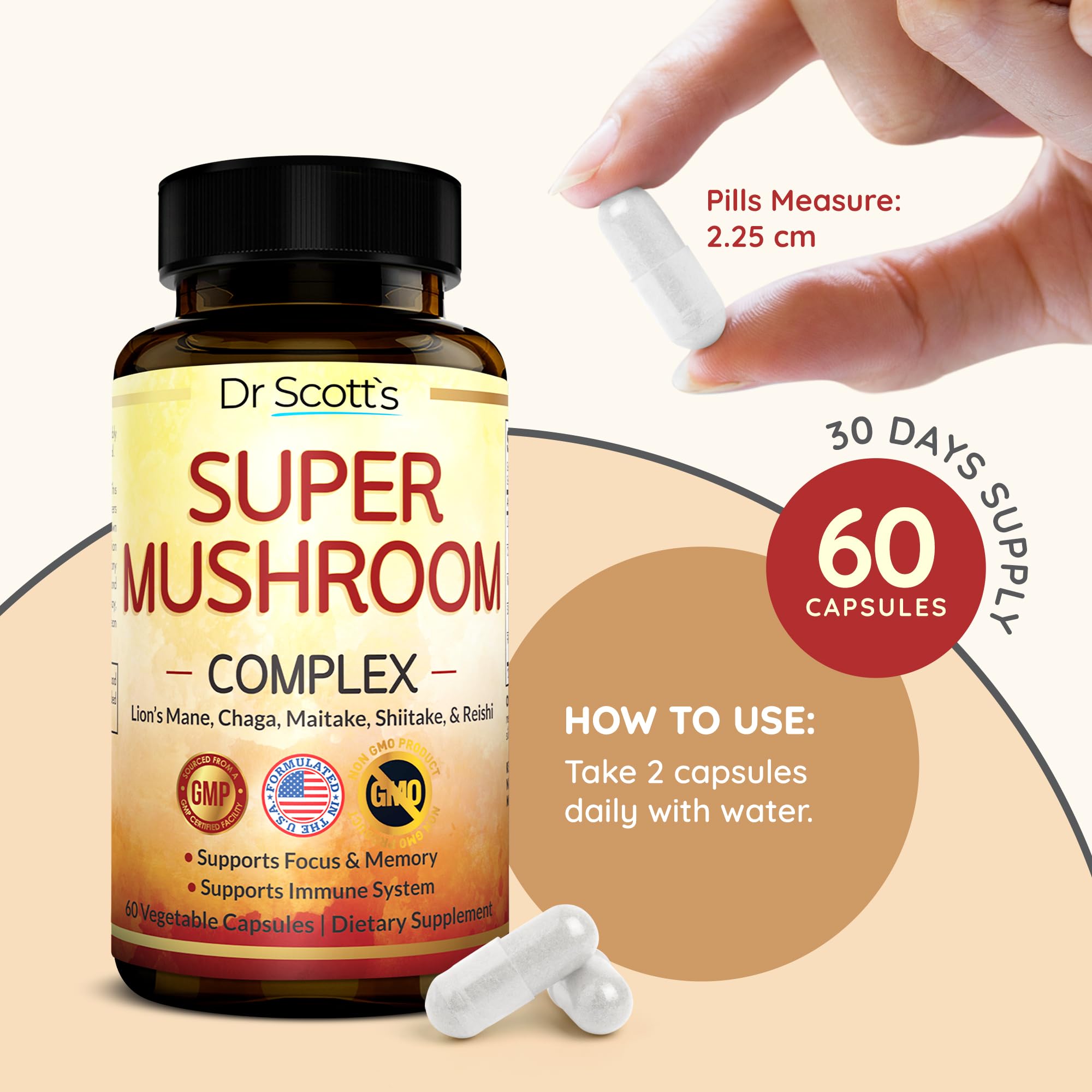 boost cognitive function with mushrooms