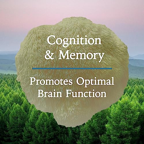 Boost cognitive function with mushrooms
