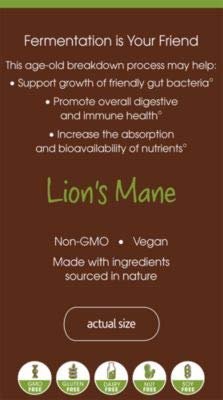 boost cognitive function with mushrooms
