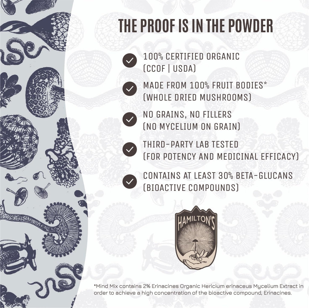 Boost cognitive function with mushrooms