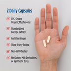 Boost cognitive function with Nordic Naturals