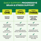 Boost cognitive performance with supplements