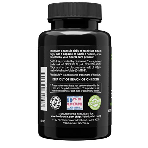 boost concentration using ginkgo biloba