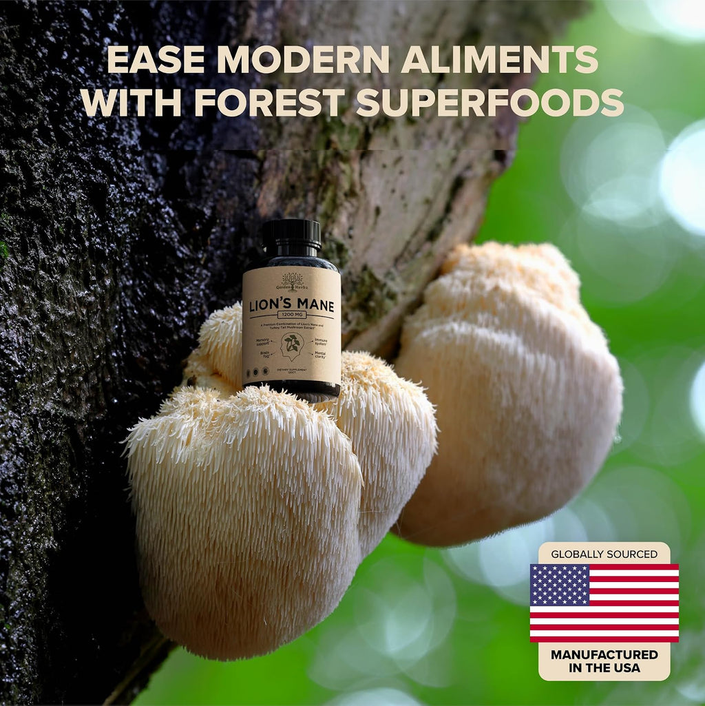 boost creativity with lion's mane