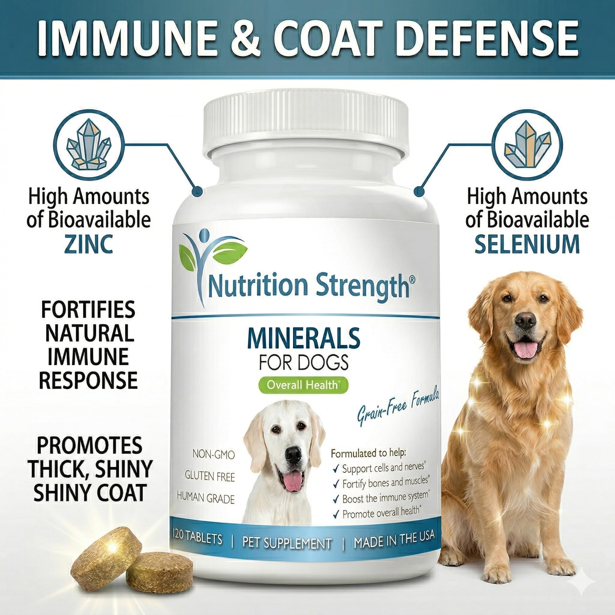 boost dog energy with minerals