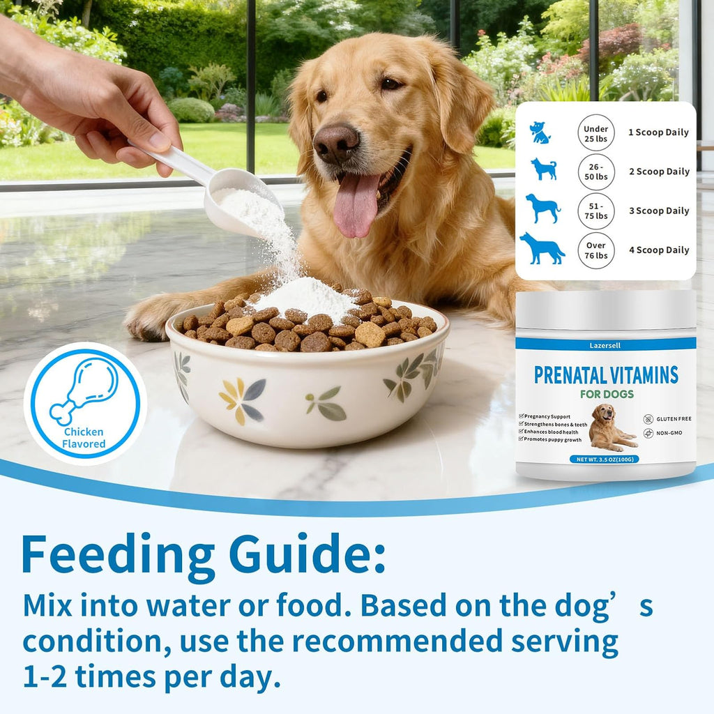 Boost dog health during pregnancy