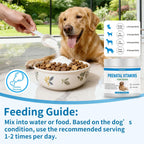 Boost dog health during pregnancy