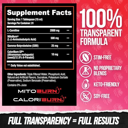 boost endurance with acetyl l-carnitine