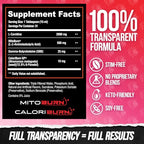 boost endurance with acetyl l-carnitine