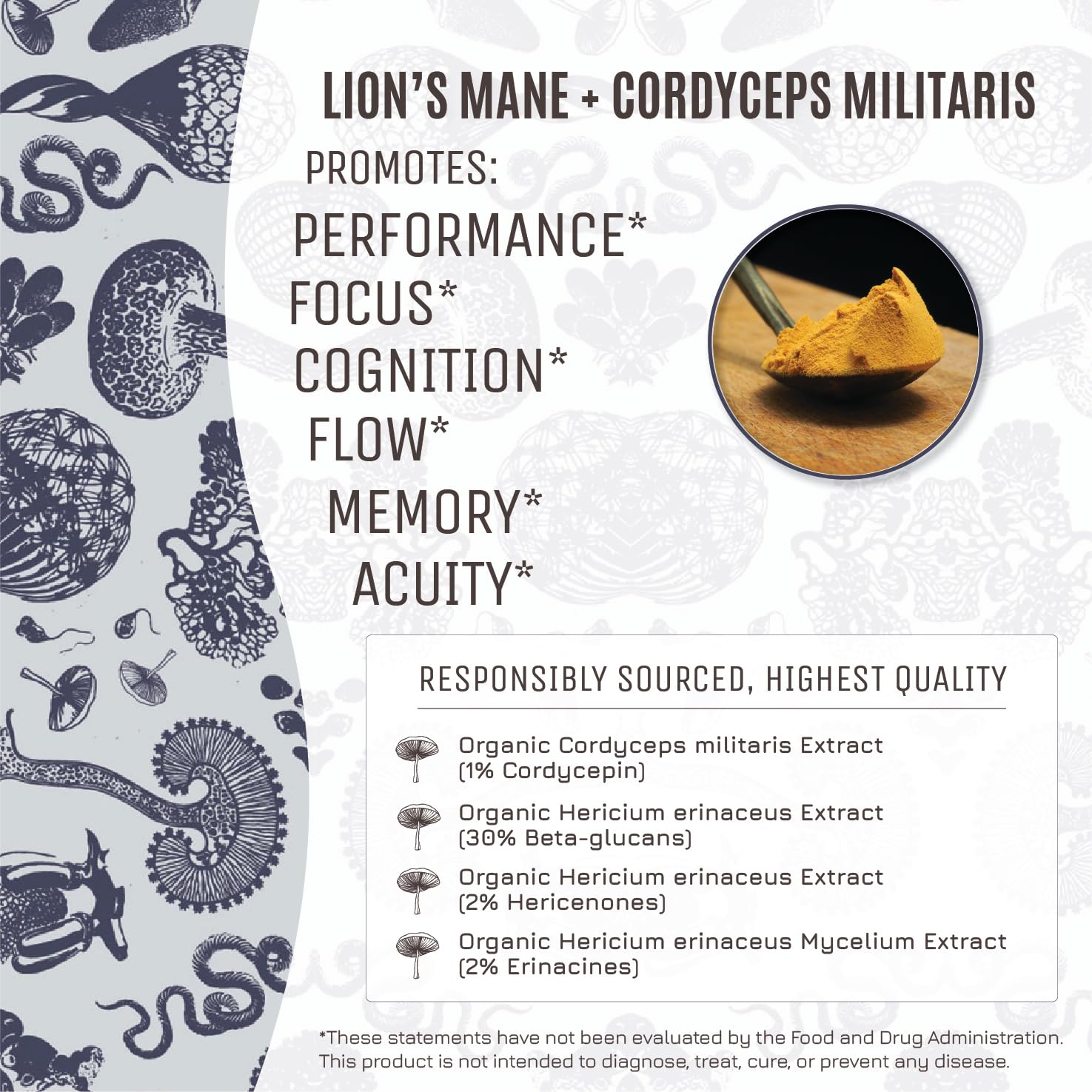 boost endurance with mushroom supplements
