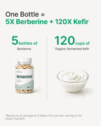 boost energy and curb cravings