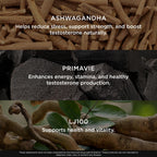 boost energy and stamina naturally