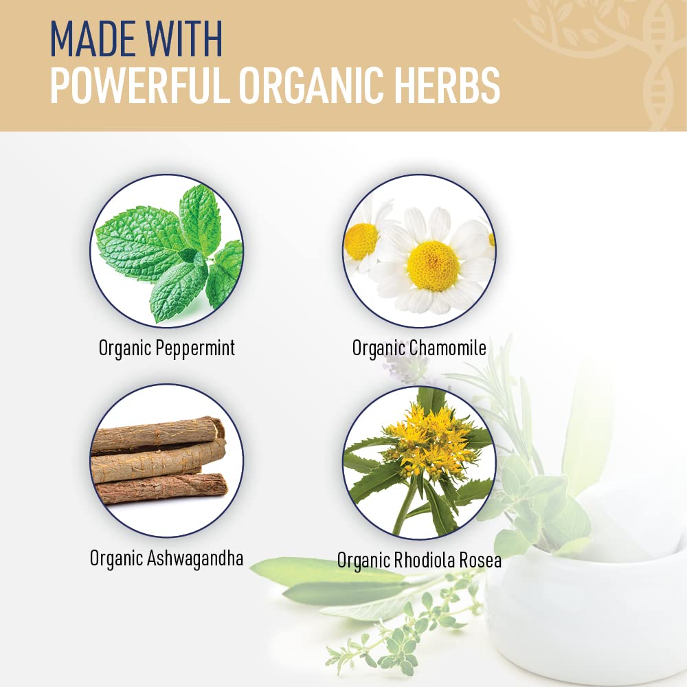 boost energy levels with adrenal support