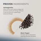 boost energy levels with Ashwagandha