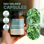boost energy levels with Ashwagandha
