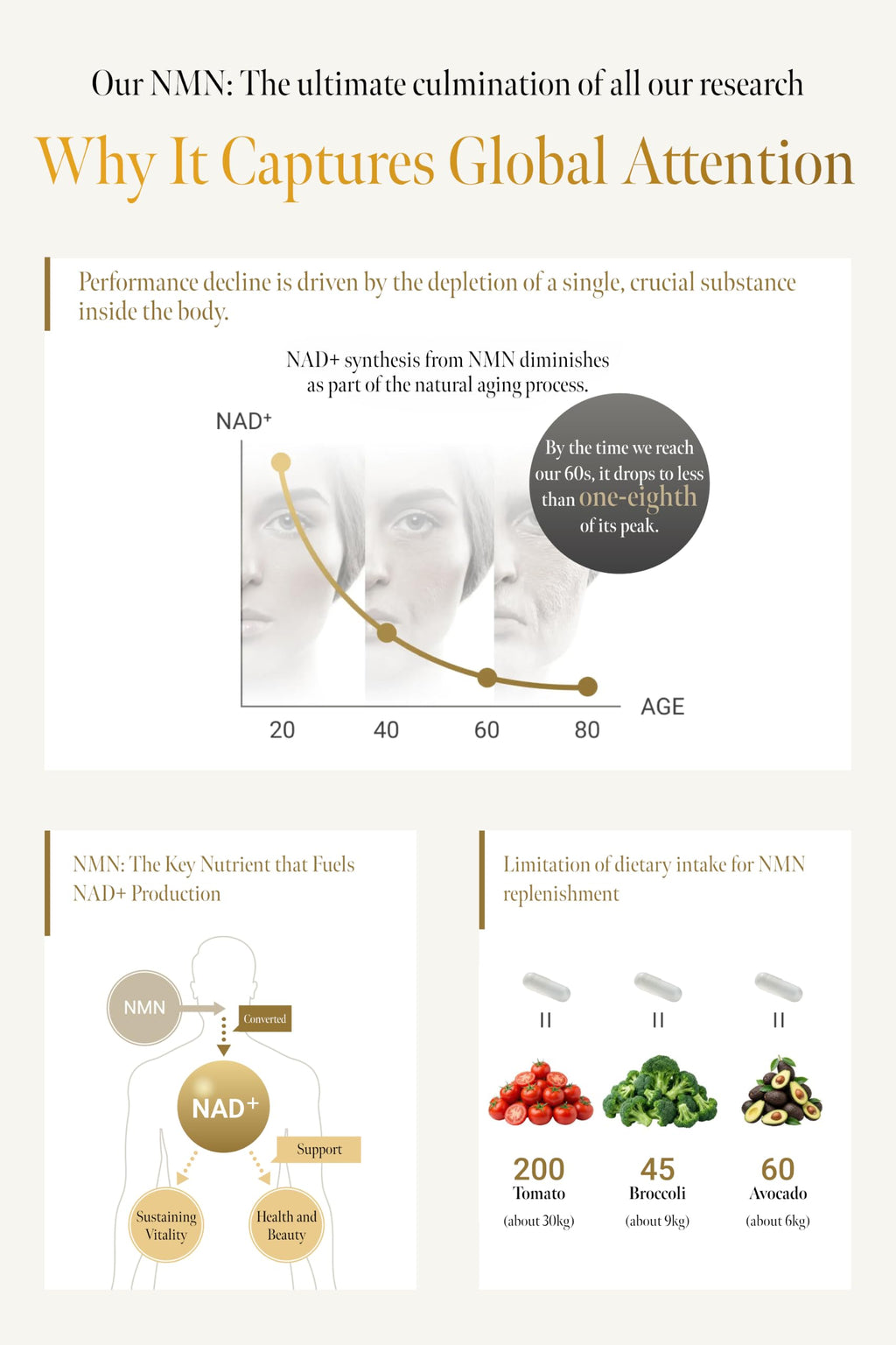 boost energy levels with NMN