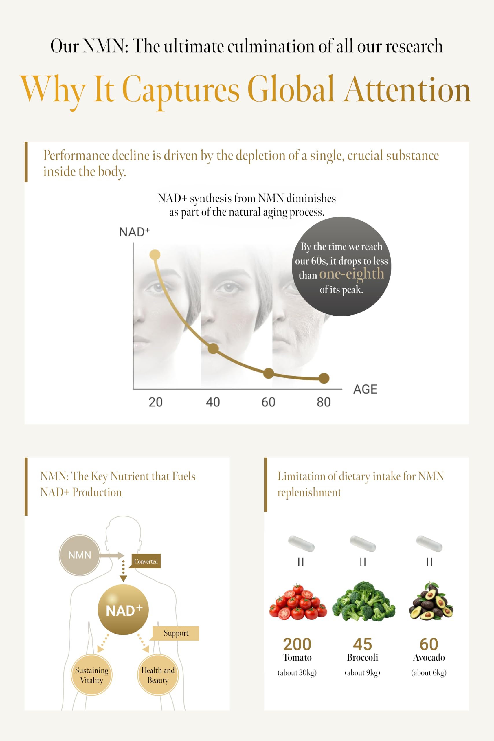 boost energy levels with NMN