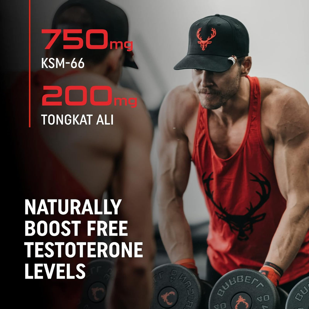 Boost energy levels with RUT