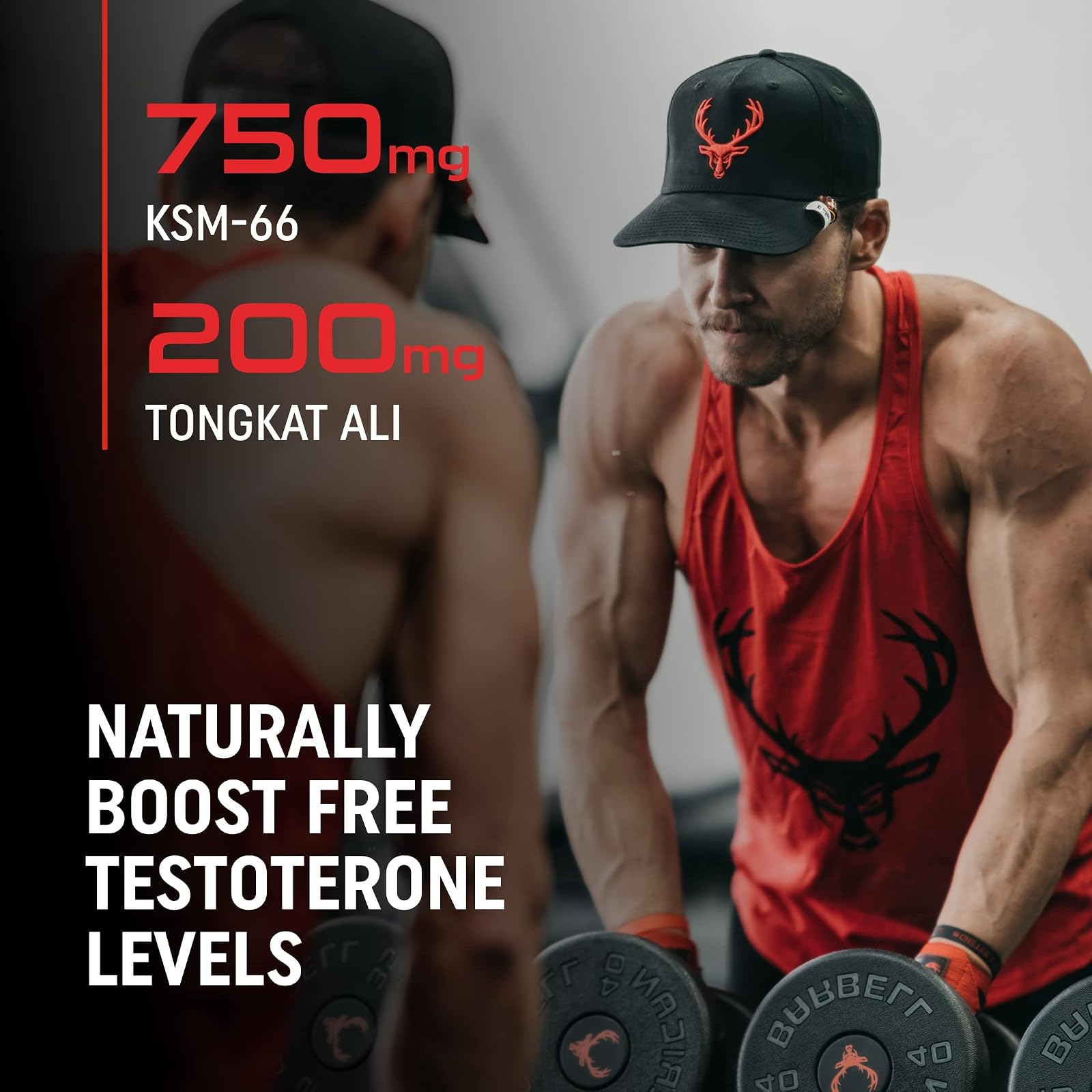 Boost energy levels with RUT