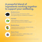 boost energy with adrenal support