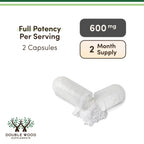 Boost energy with Alpha GPC