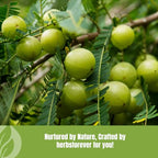 Boost energy with Amla Fruit vitamins